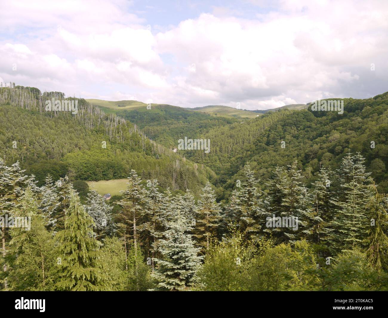 Vale of Rheidol Railway, Ceredigion, Wales - June 21 2023: a view of ...