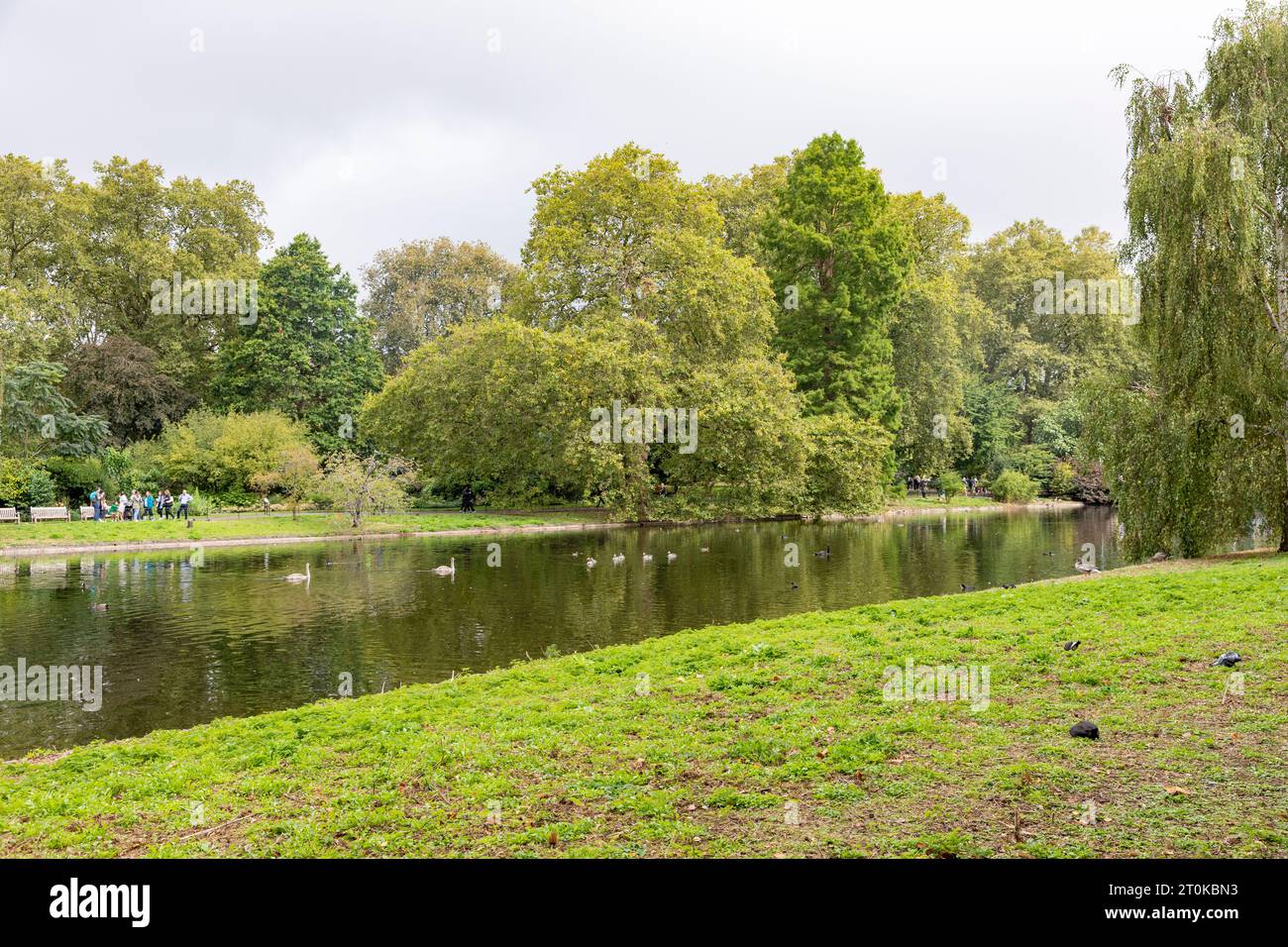 St James Park in the centre of London on a wet overcast autumn day in ...