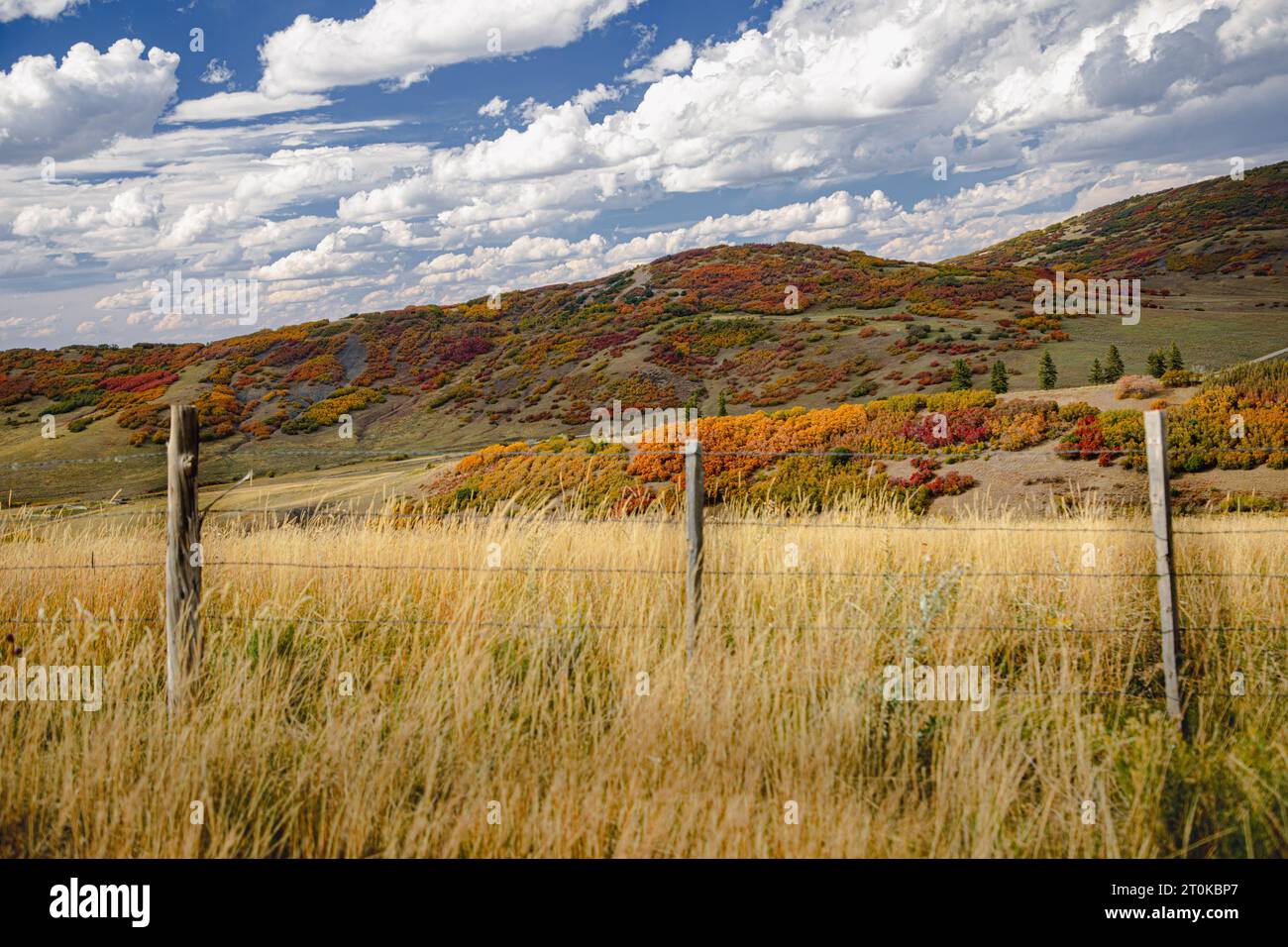 Colorado Rocky Mountains Fall scenery Stock Photo - Alamy