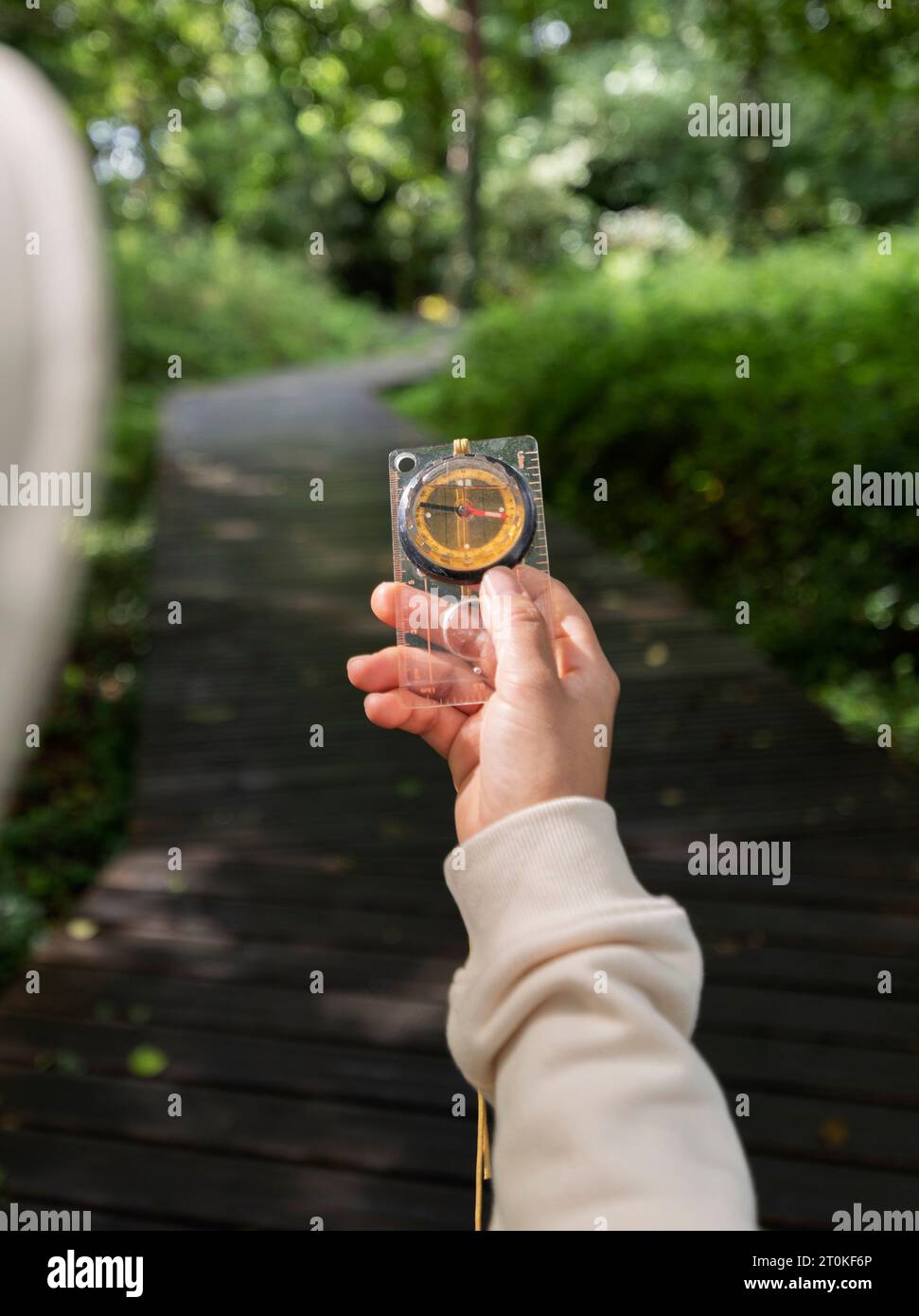 hand holding a compass in nature Stock Photo - Alamy