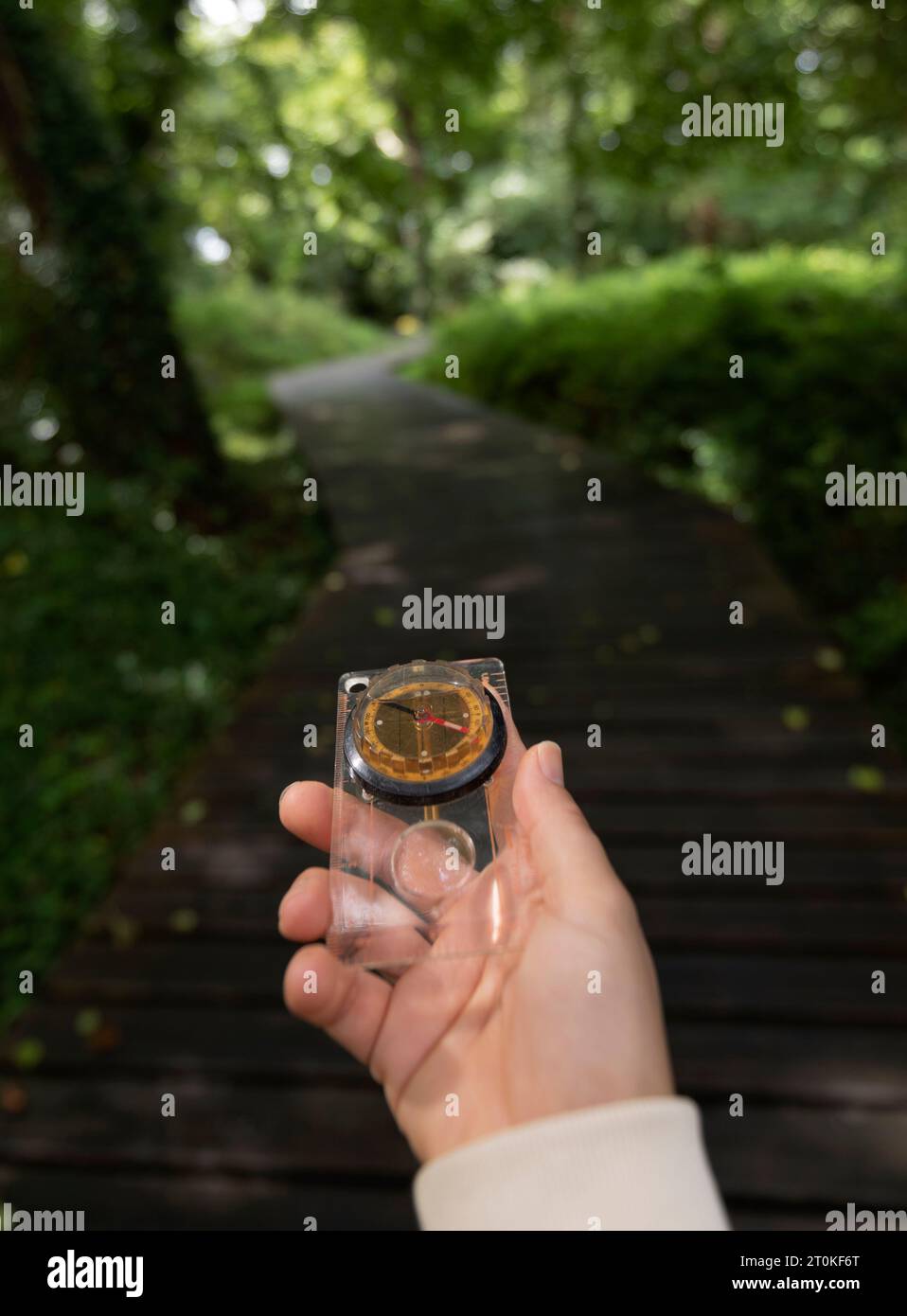 hand holding a compass in nature Stock Photo - Alamy