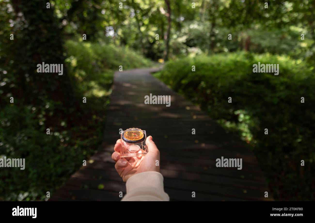 hand holding a compass in nature Stock Photo - Alamy