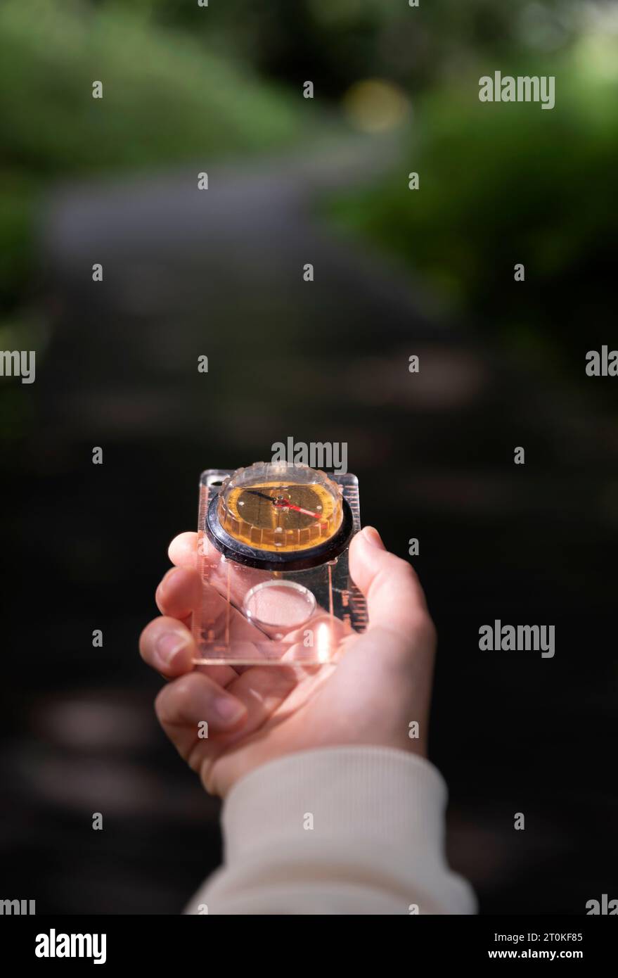 hand holding a compass in nature Stock Photo - Alamy