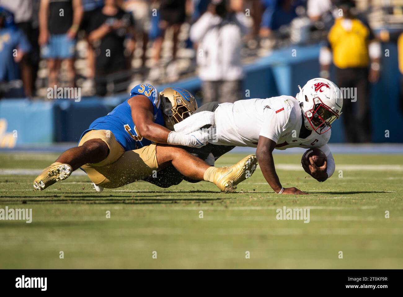 UCLA linebacker Darius Muasau (53) tackles Washington State quarterback ...