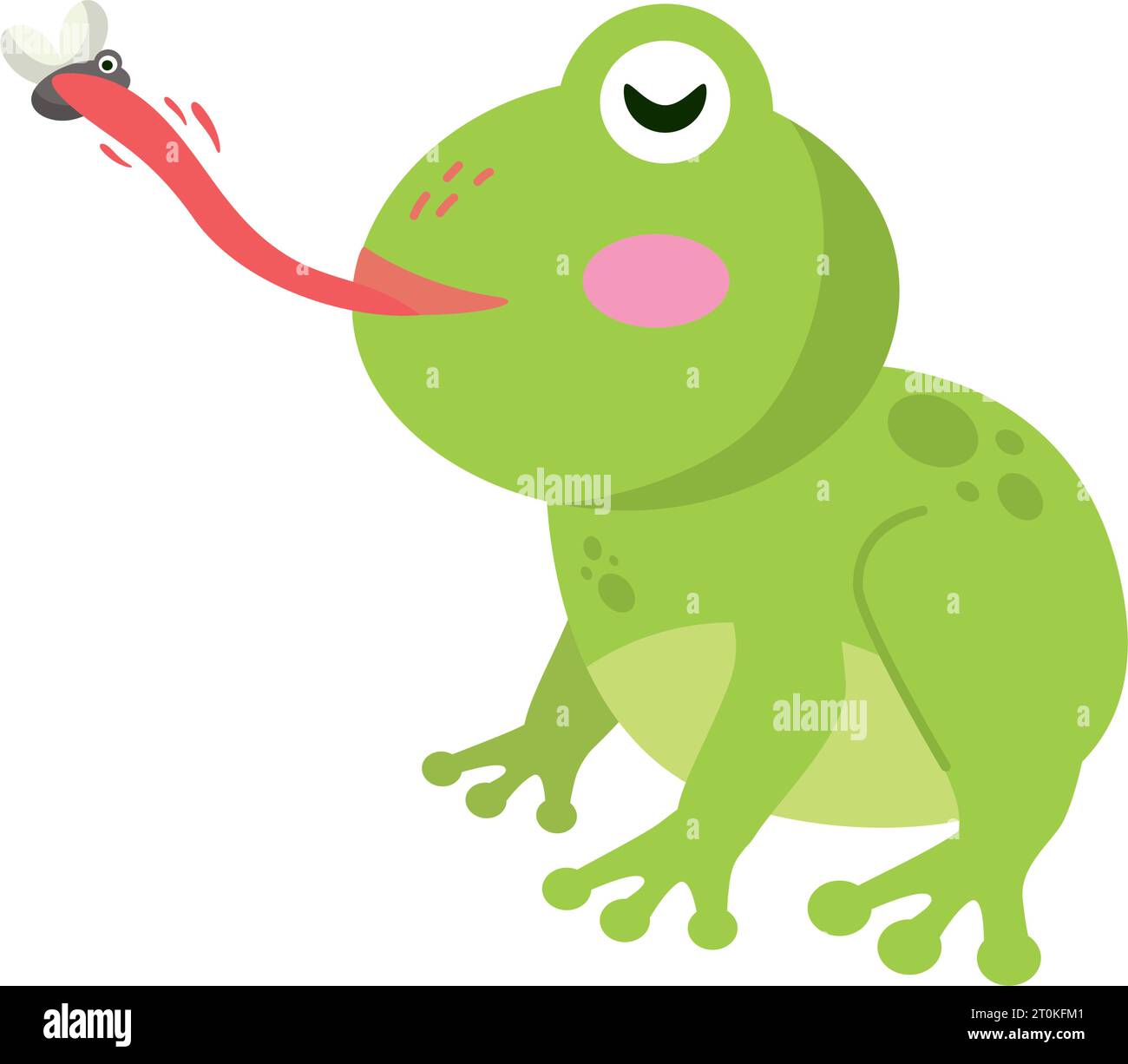 frog eating fly design vector isolated Stock Vector Image & Art - Alamy