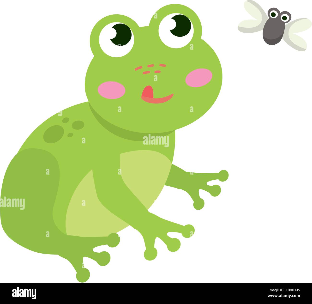 frog eating fly vector isolated Stock Vector Image & Art - Alamy