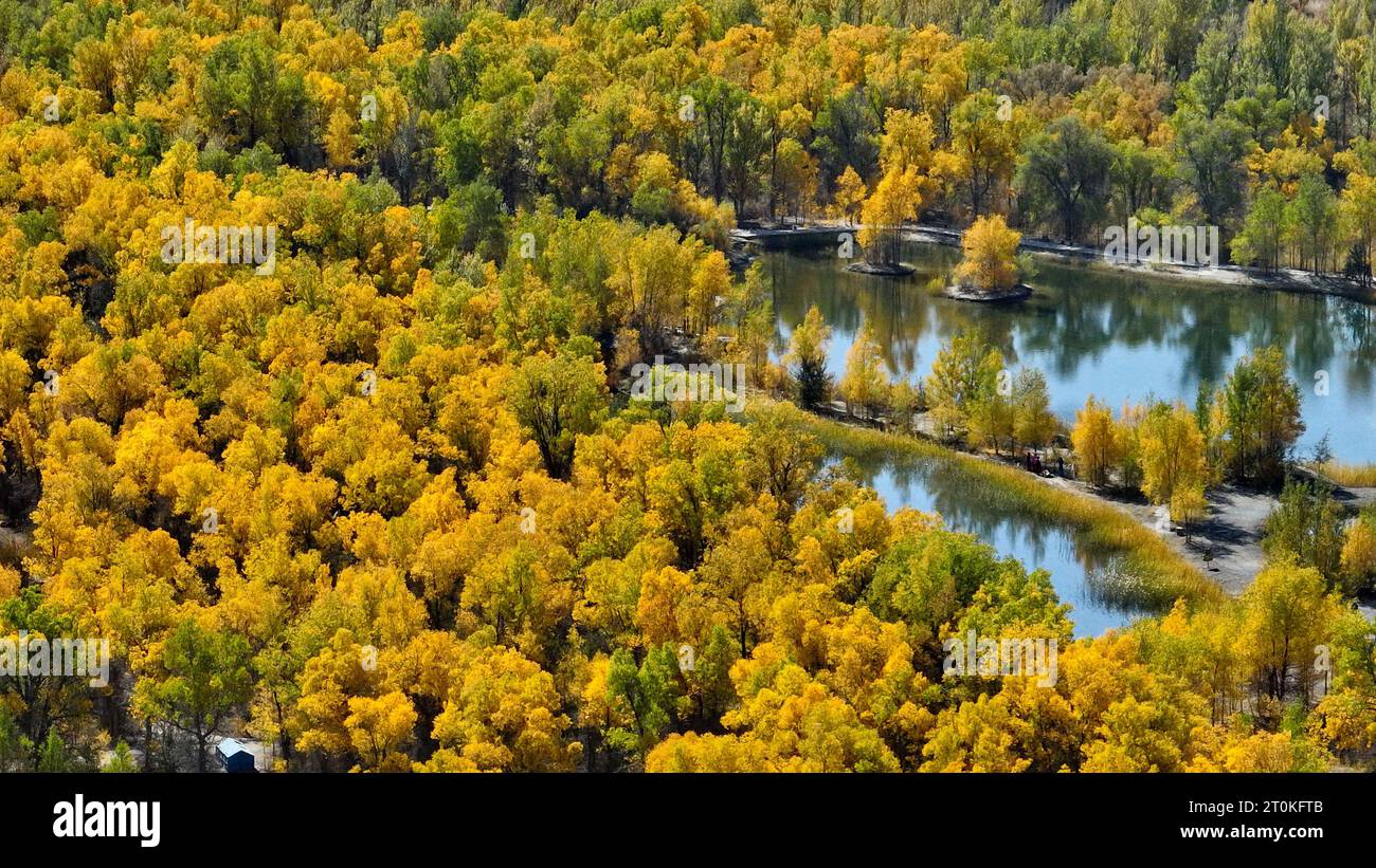 Jiuquan, China. 08th Oct, 2023. JIUQUAN, CHINA - OCTOBER 7, 2023 ...