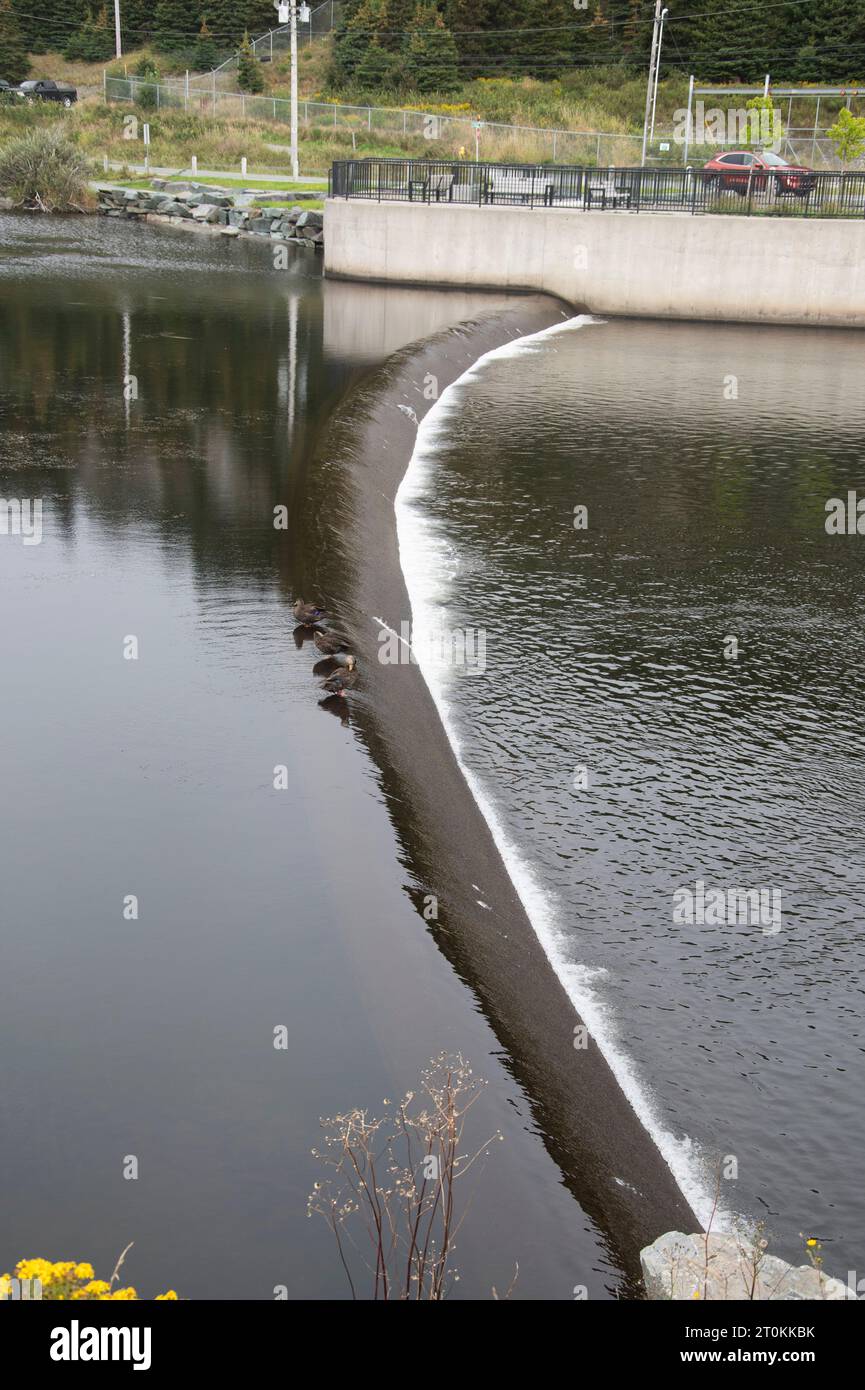 Low dam on Quidi Vidi Lake in St. John's, Newfoundland & Labrador ...