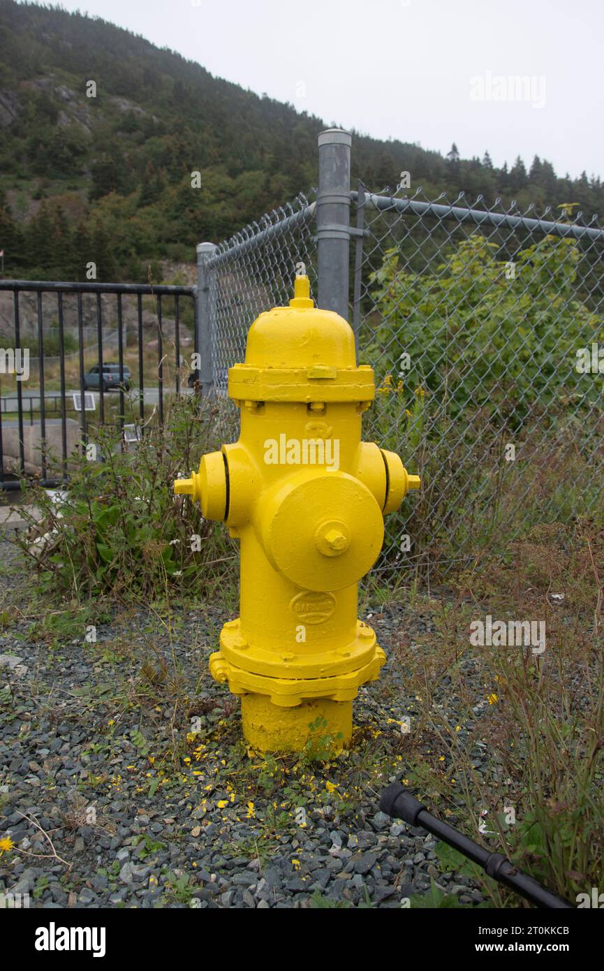 Yellow fire hydrant at Quidi Vidi Lake in St. John's, Newfoundland ...
