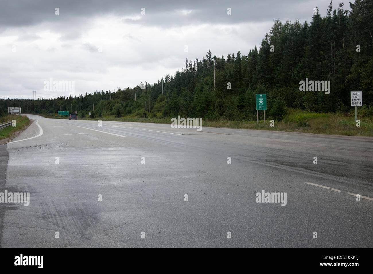 Forest of traffic signs hi-res stock photography and images - Alamy