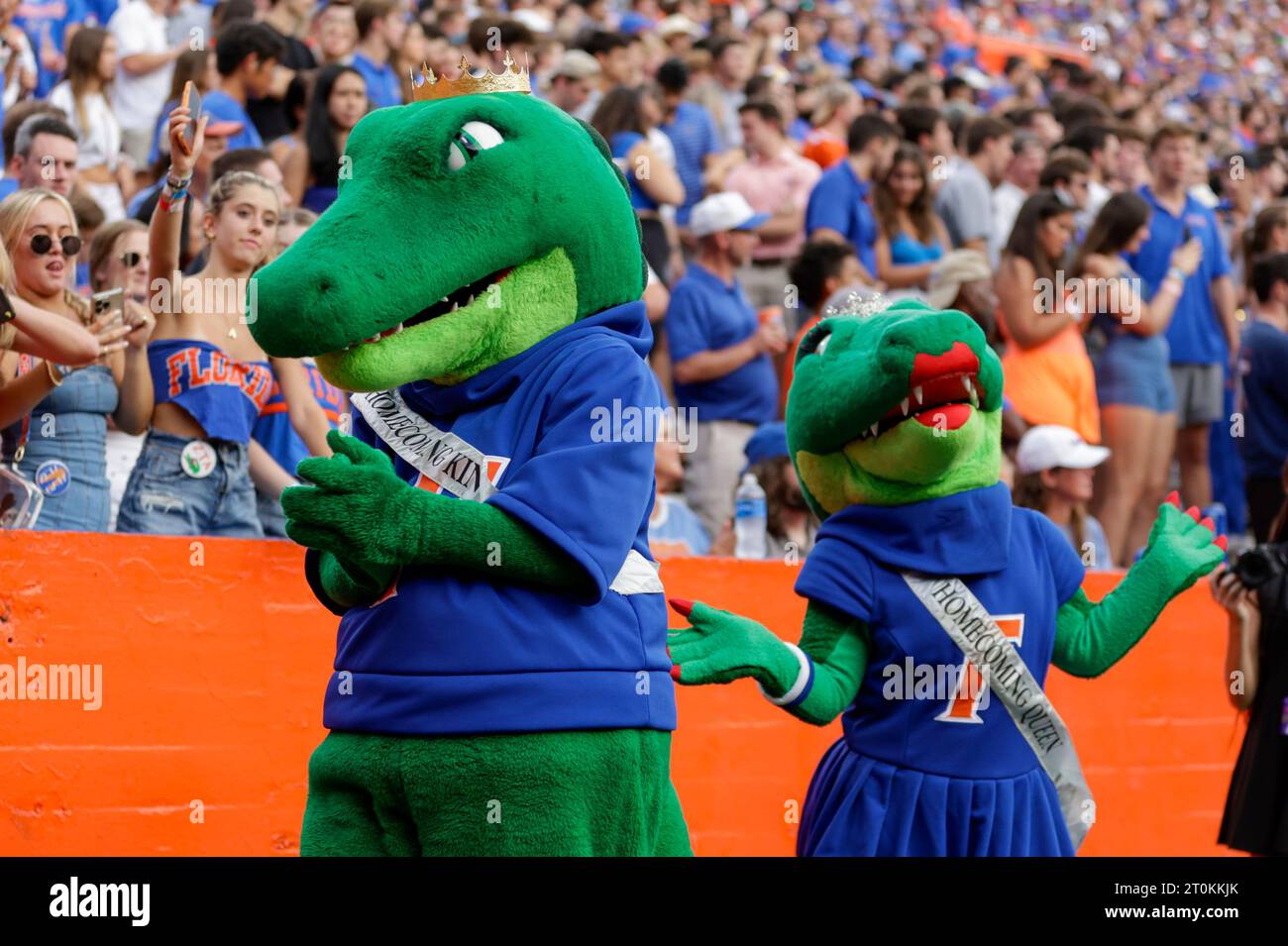 GAINESVILLE, FL - OCTOBER 07: Florida Gators mascots Albert and Alberta ...