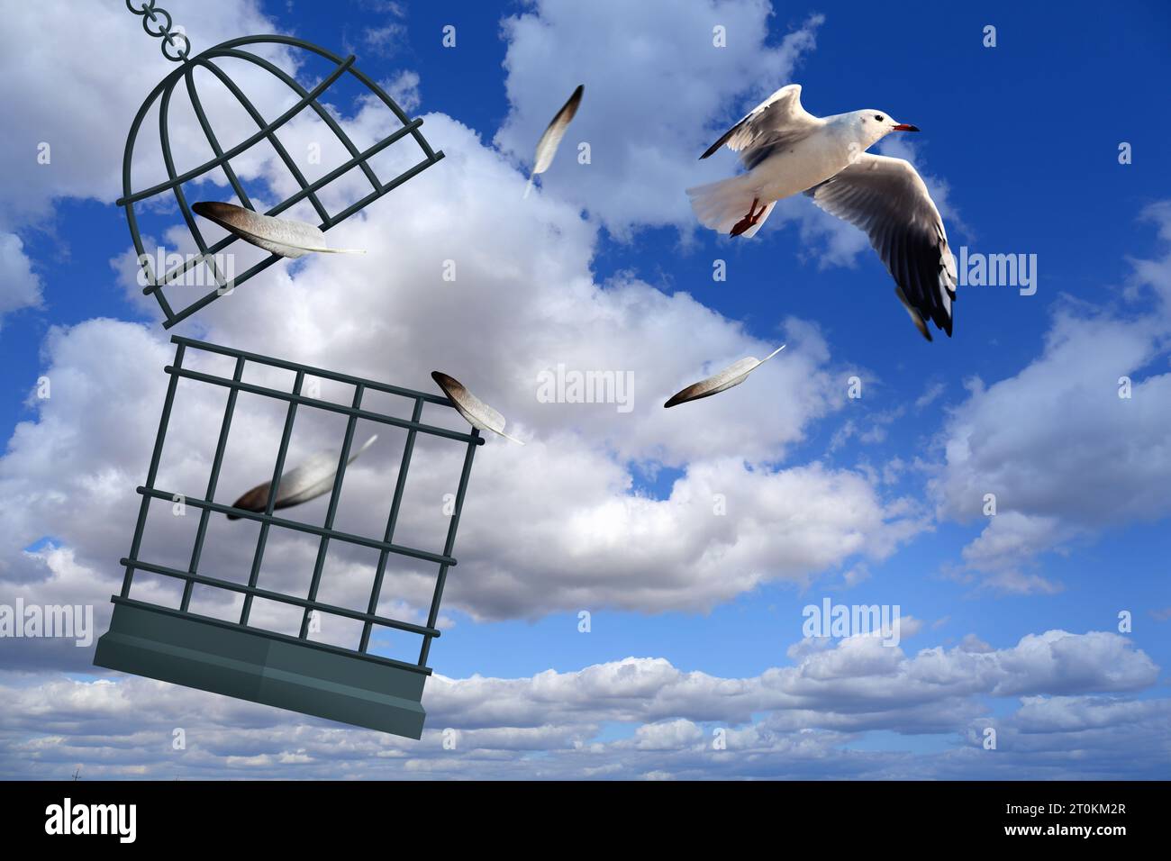 Freedom. Bird flying out of cage into sky Stock Photo - Alamy