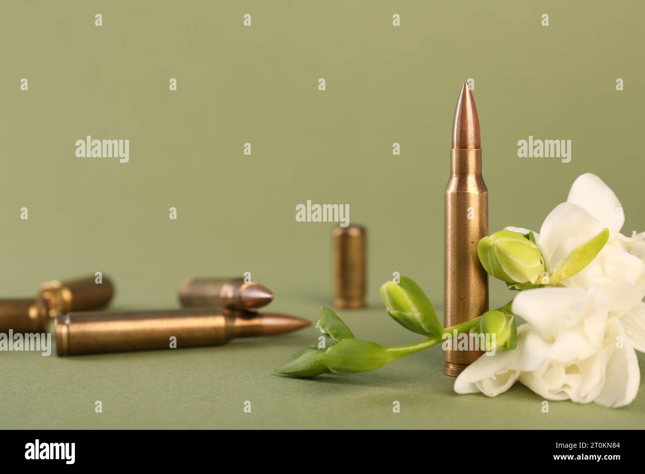 Bullets, cartridge cases and beautiful freesia flowers on olive ...