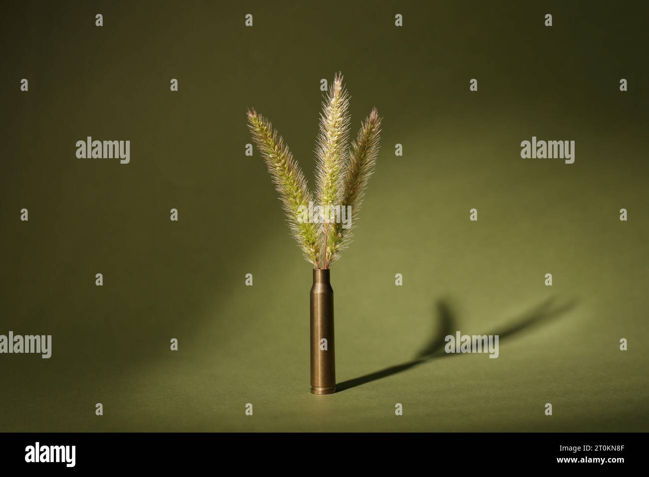 Bullet cartridge case and green foxtails on color background Stock ...