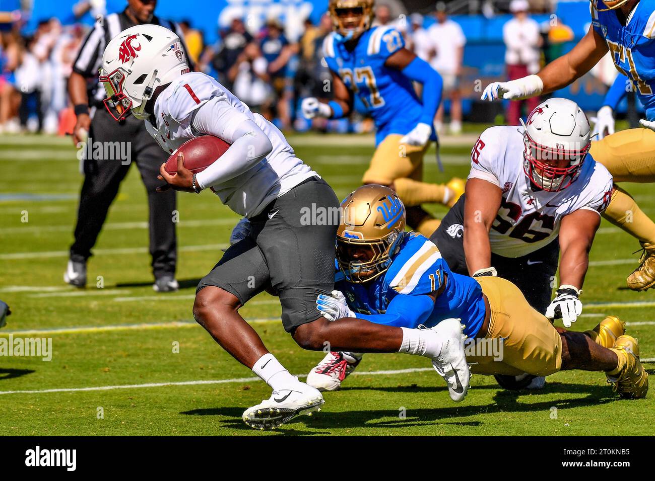 Gabriel murphy ucla hi-res stock photography and images - Alamy