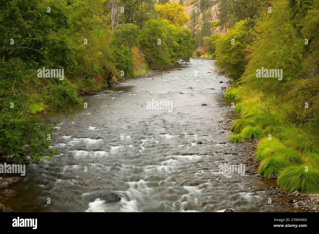 Wenaha Wild and Scenic River, Wenaha Wildlife Area, Troy, Oregon Stock ...