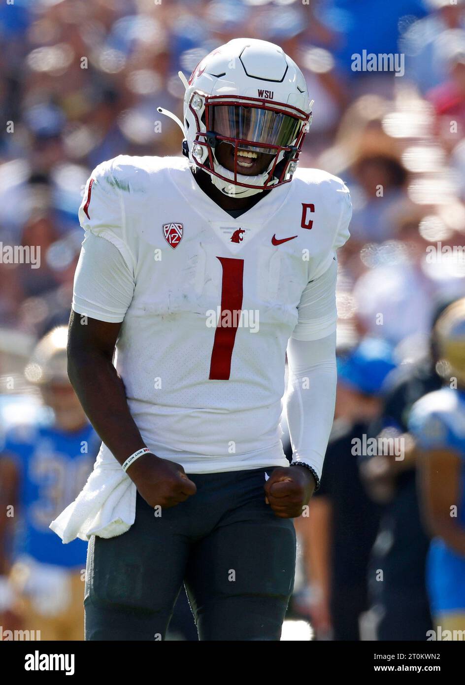 October 07, 2023 Washington State Cougars quarterback Cameron Ward (1 ...
