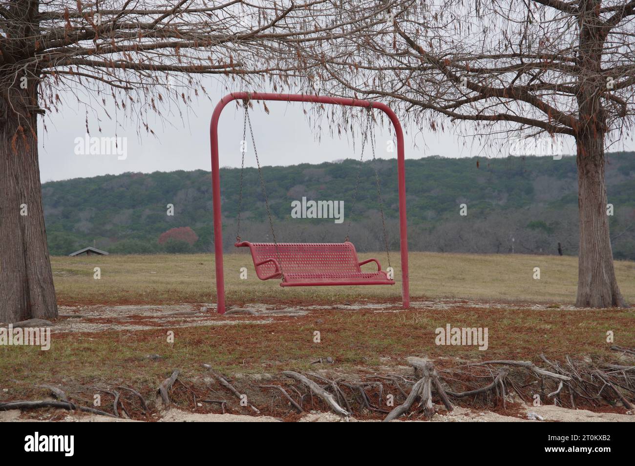 Red swinging bench between two trees Stock Photo - Alamy