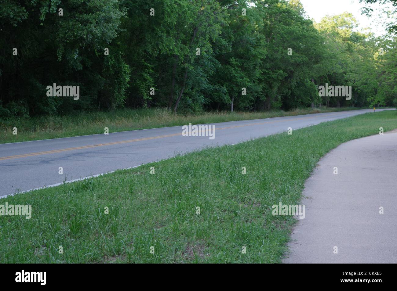 Brushy trail hi-res stock photography and images - Alamy