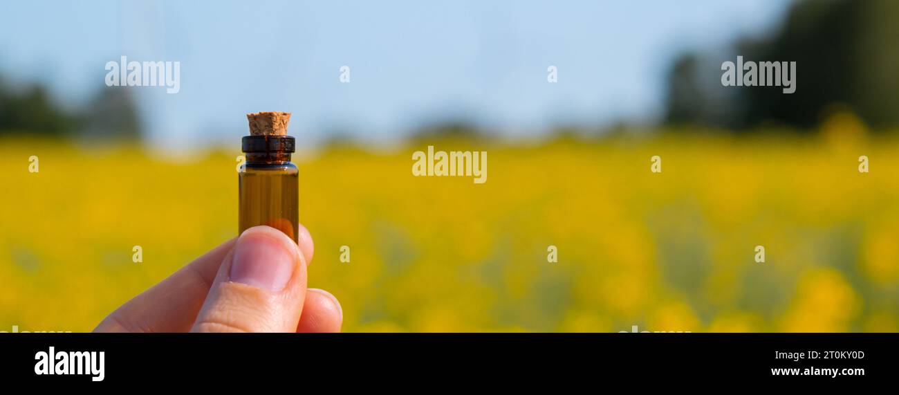 Hand holding test tube with liquid on background of canola flowers ...