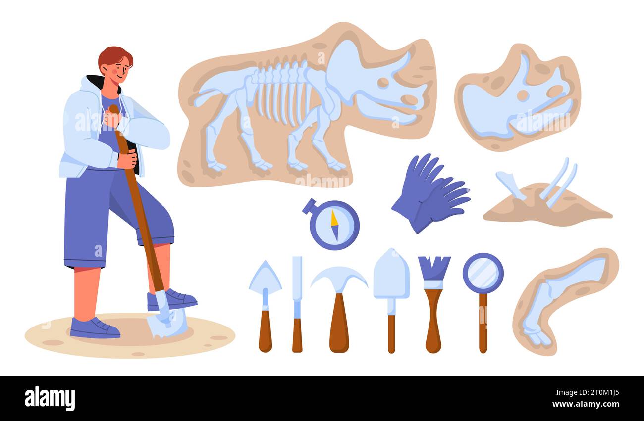 Archaeologist elements vector set Stock Vector Image & Art - Alamy