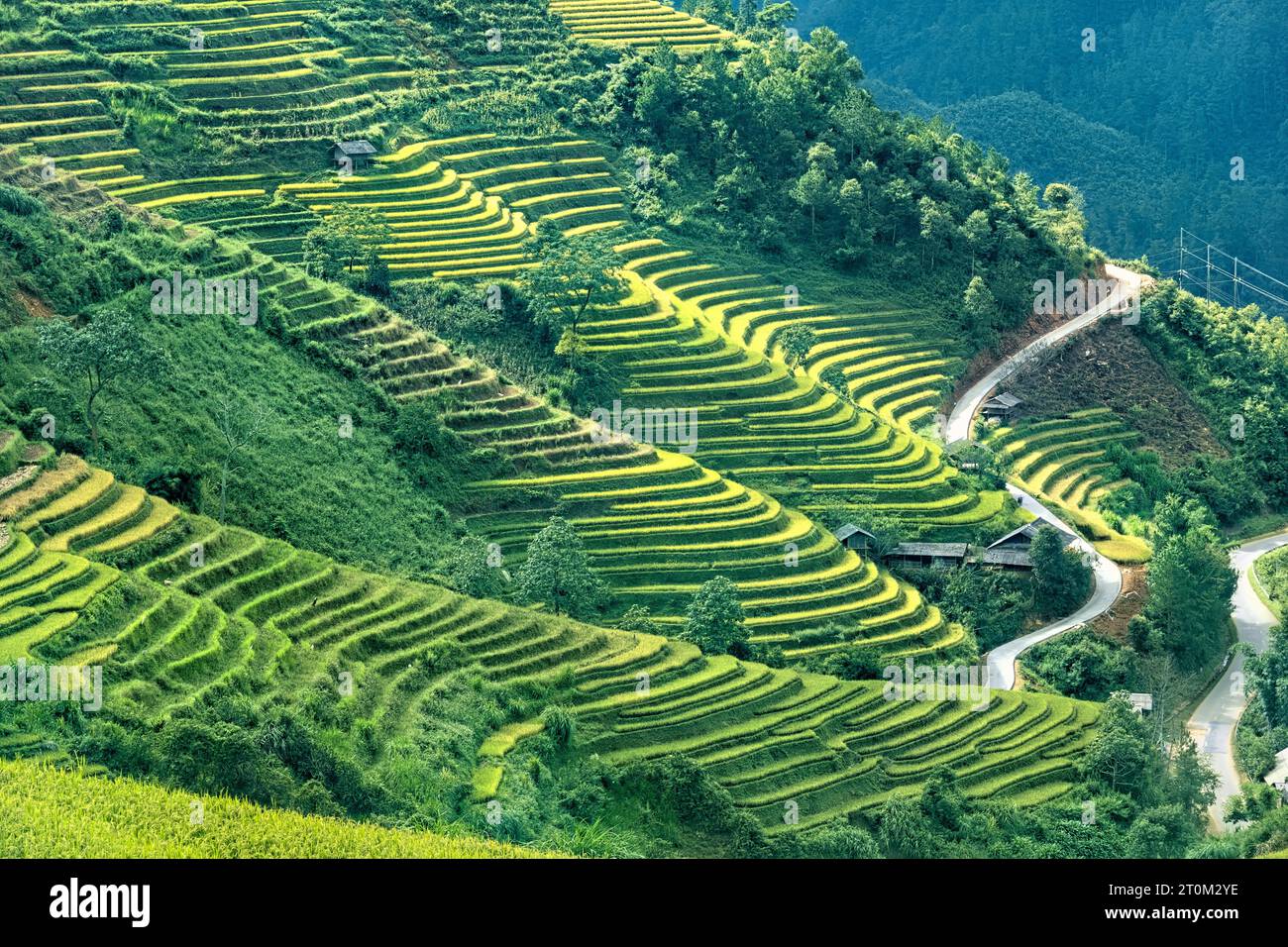 The amazing rice terraces of Mu Cang Chai, Yen Bai, Vietnam Stock Photo ...
