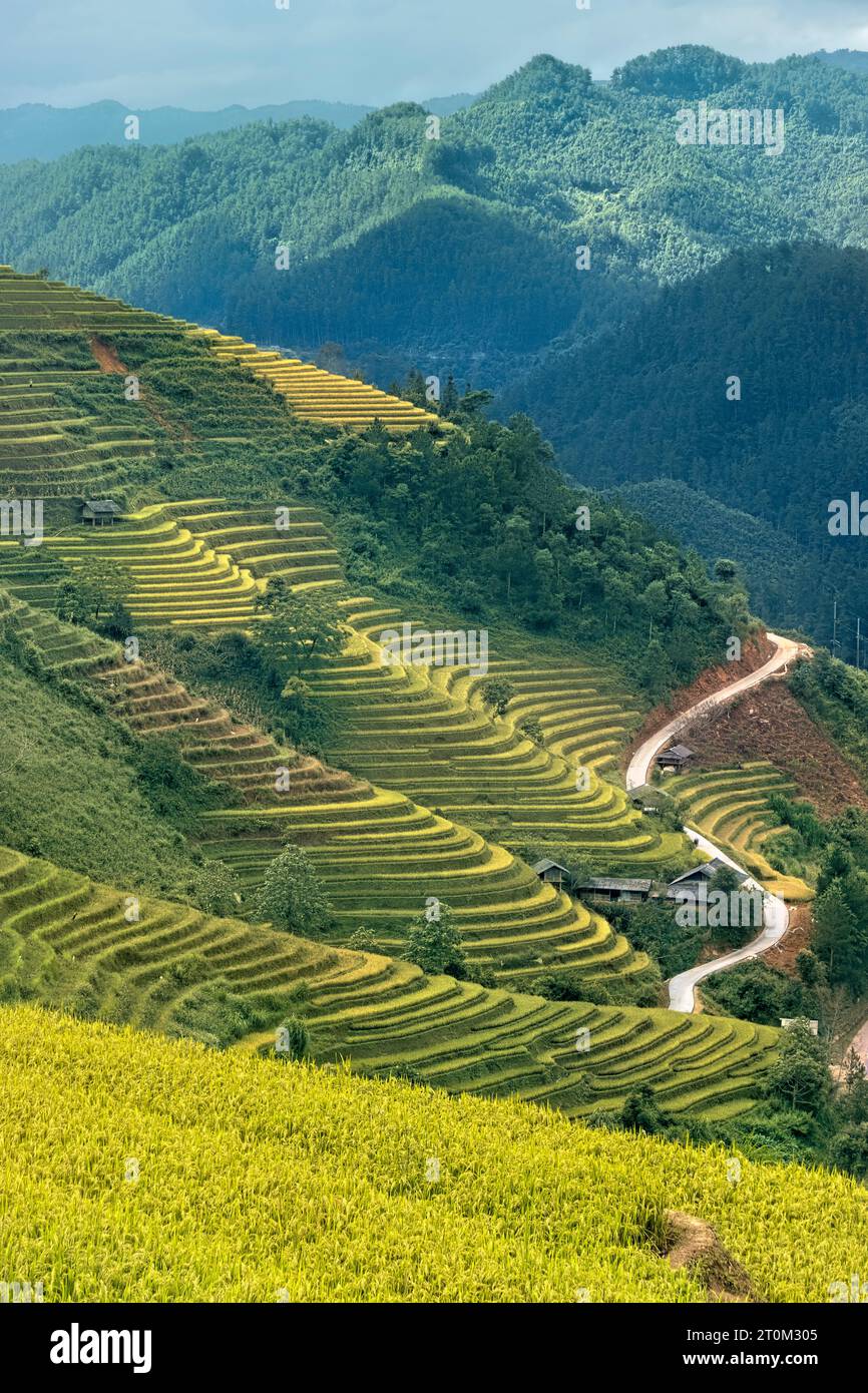 The amazing rice terraces of Mu Cang Chai, Yen Bai, Vietnam Stock Photo ...