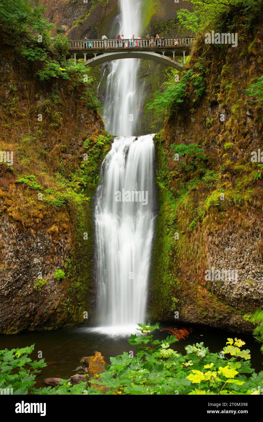 Multnomah Falls with Benson Bridge, Columbia River Gorge National ...