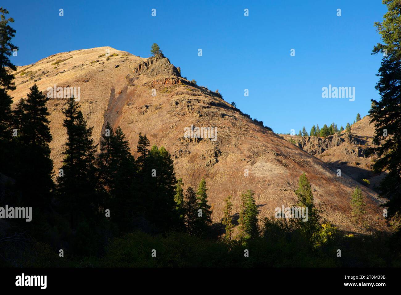 Wallowa River canyon, Wallowa Lake Highway Forest State Scenic Corridor ...