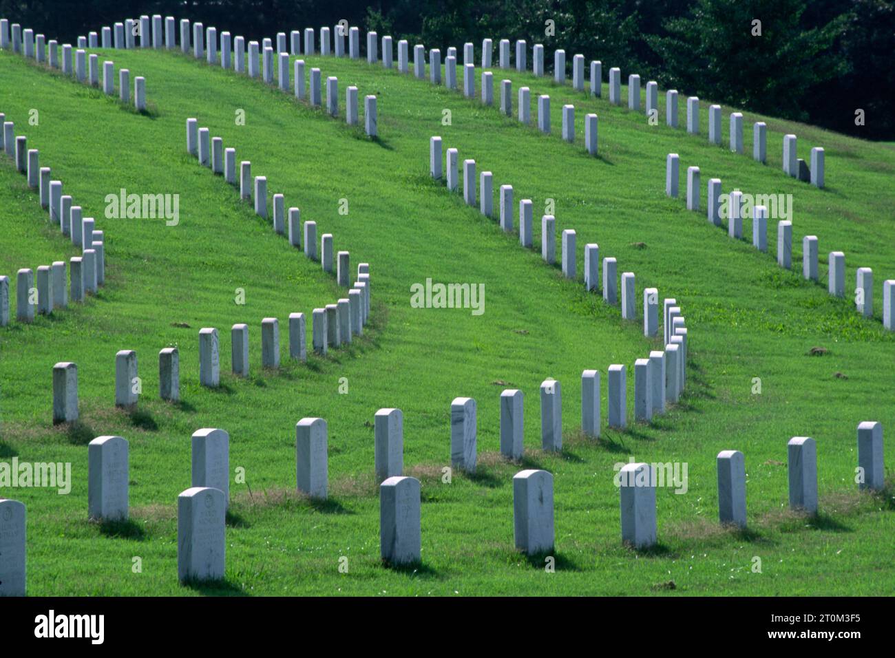 Grave rows, Chattanooga National Cemetery, Tennessee Stock Photo - Alamy