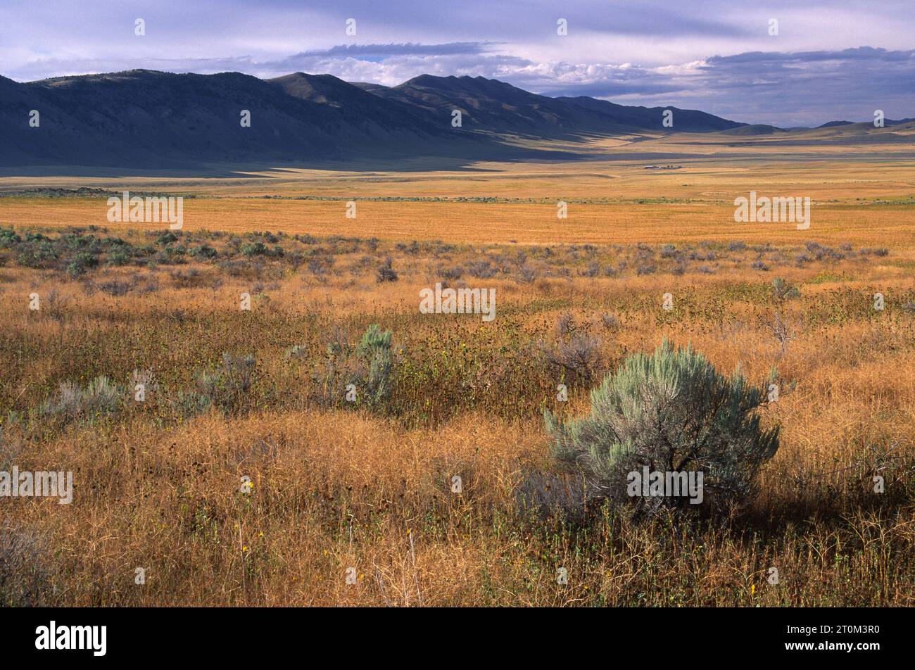 Box elder county hi-res stock photography and images - Alamy