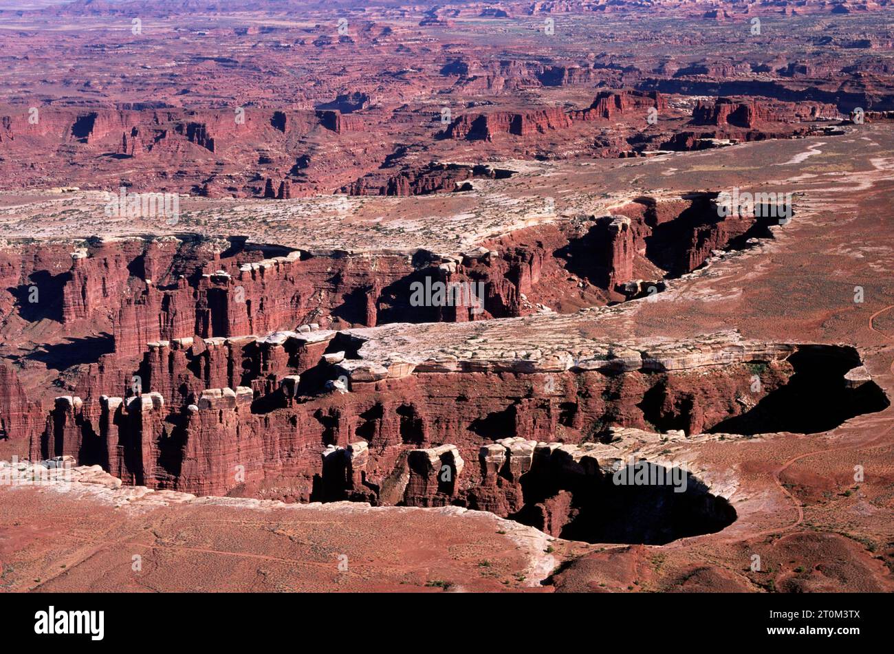 Grand View Point Overlook, Canyonlands National Park, Utah Stock Photo ...