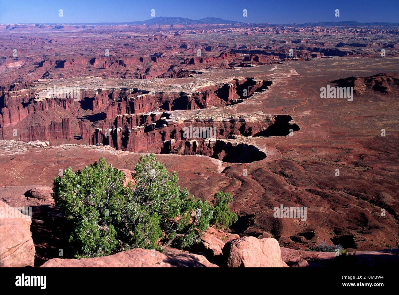 Grand View Point Overlook, Canyonlands National Park, Utah Stock Photo ...