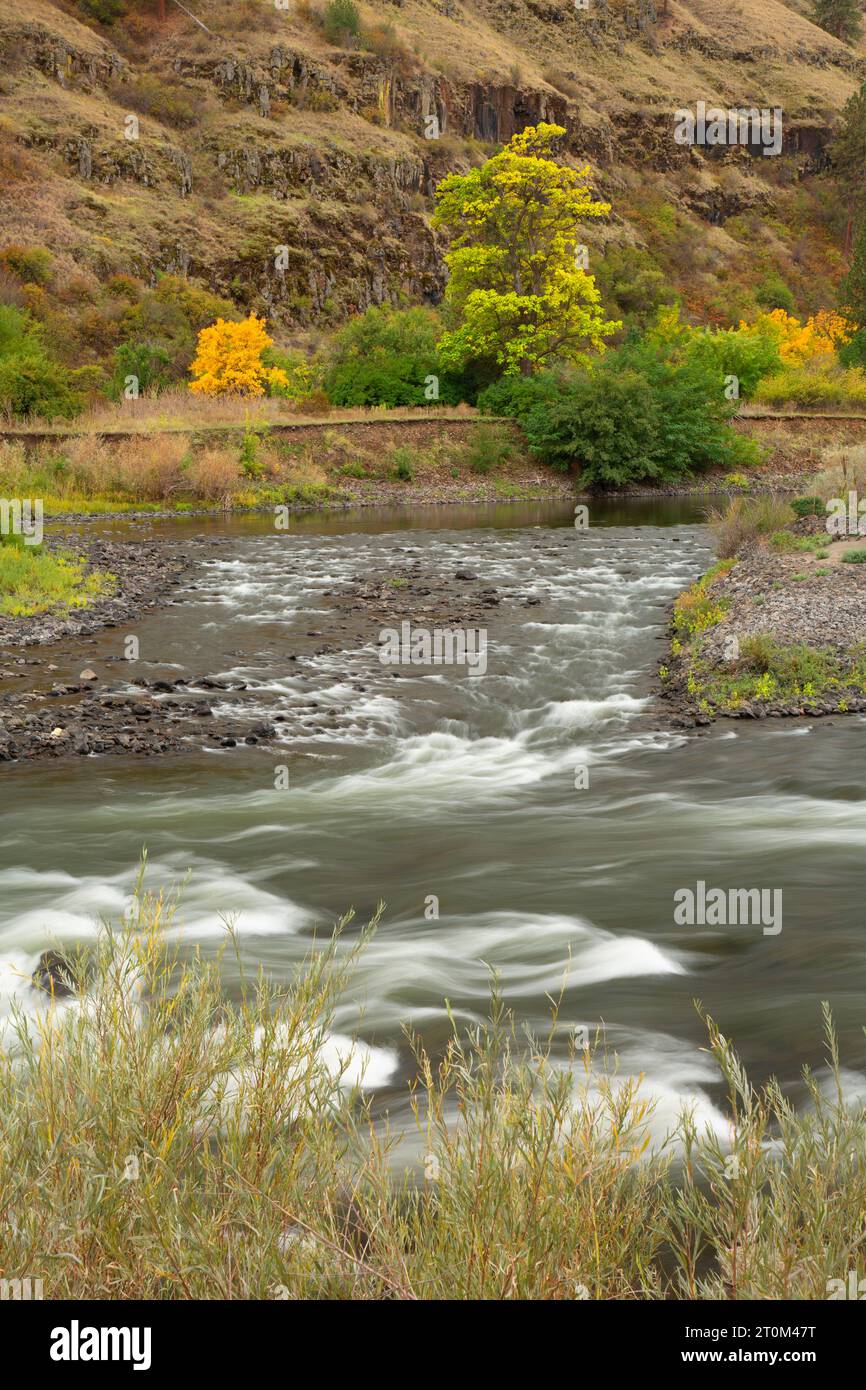 Grande Ronde River, Chief Joseph Wildlife Area, 4-O Ranch Unit, Asotin ...