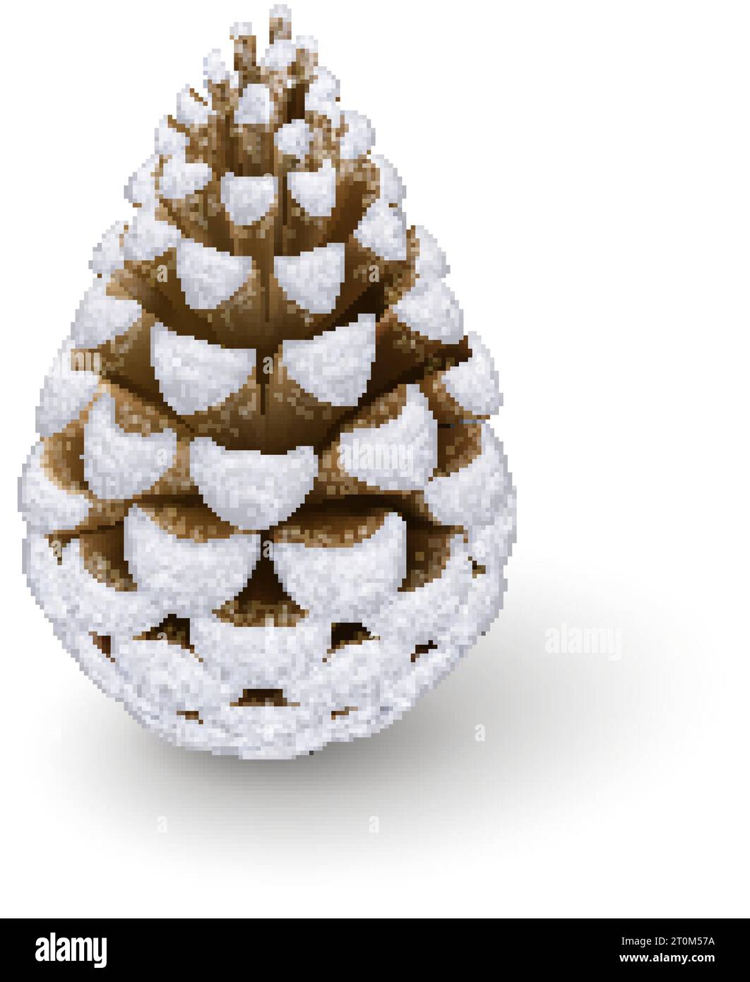 Realistic Silver Pine Cone. Single Decorative Woody Fruit of a Conifer ...