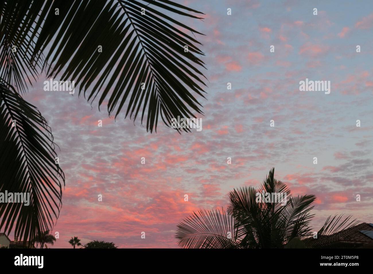 Saturday 7th october 2023 hi-res stock photography and images - Alamy