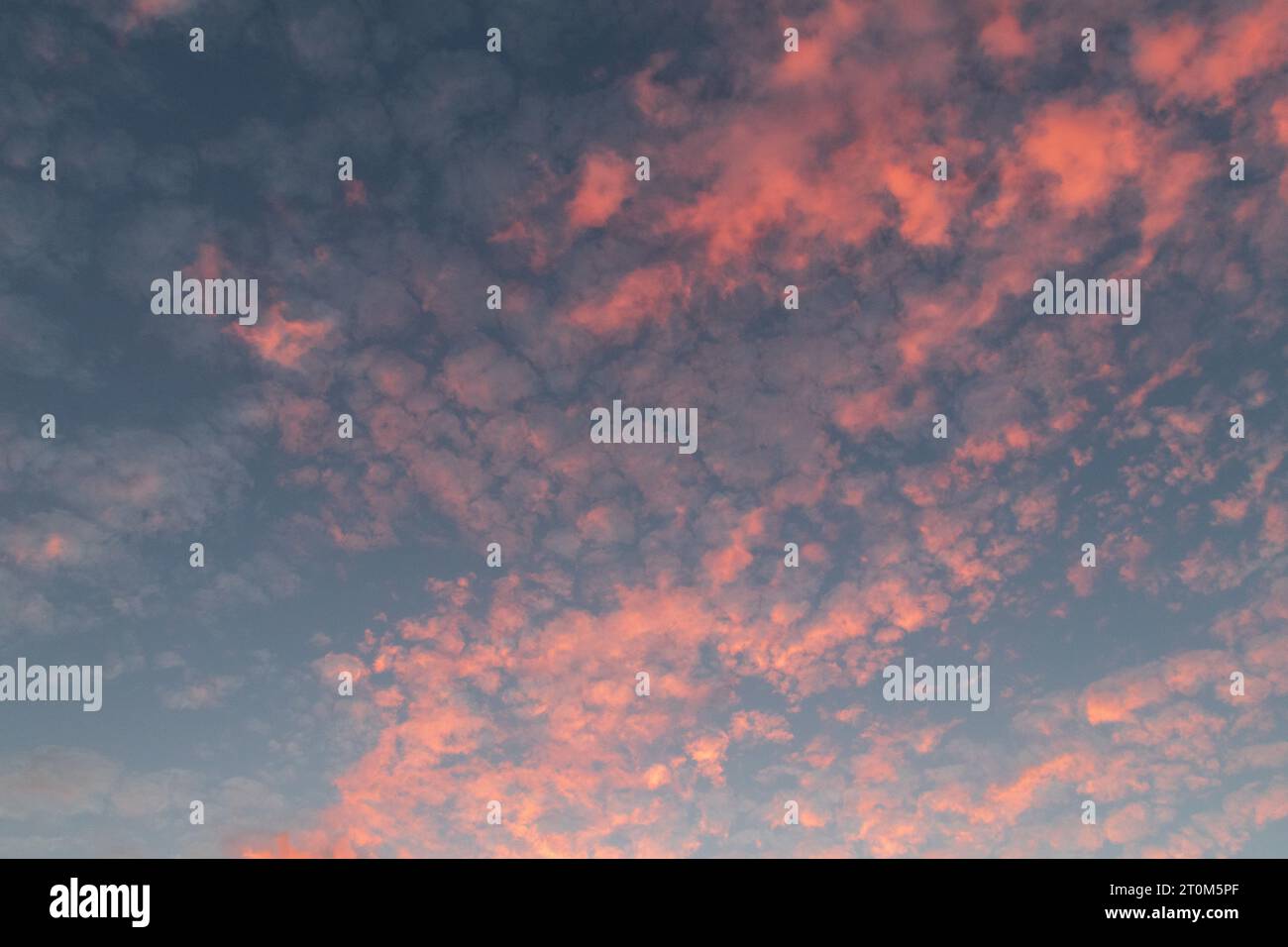 Saturday 7th october 2023 hi-res stock photography and images - Alamy