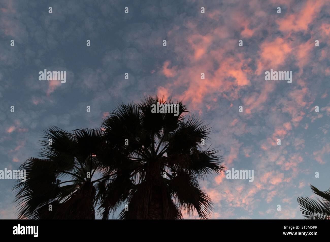 Saturday 7th october 2023 hi-res stock photography and images - Alamy