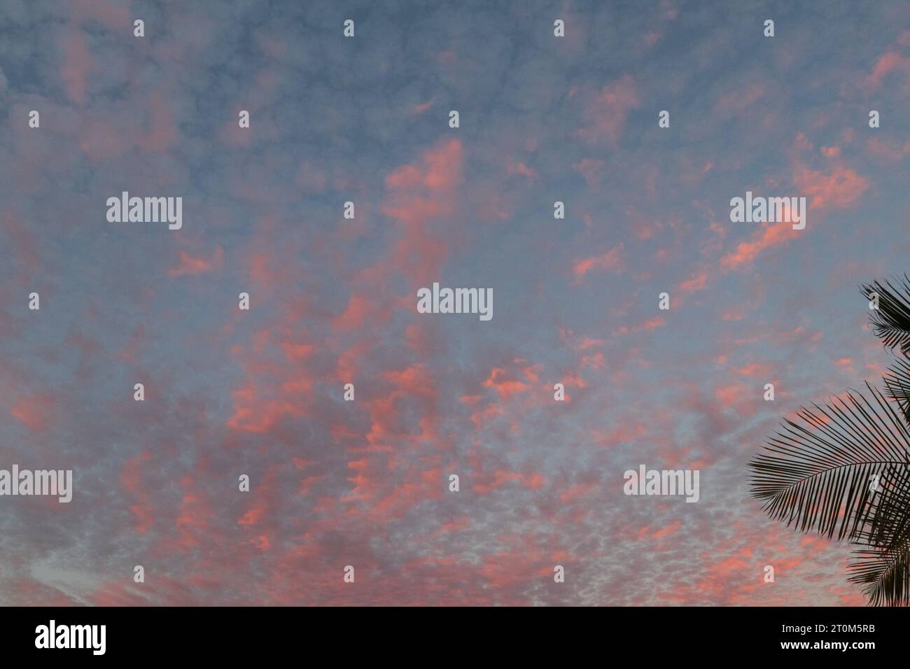 Saturday 7th october 2023 hi-res stock photography and images - Alamy