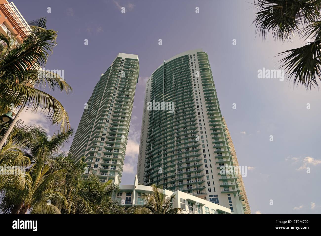 skyscraper architectural building in miami with palm trees. photo of ...
