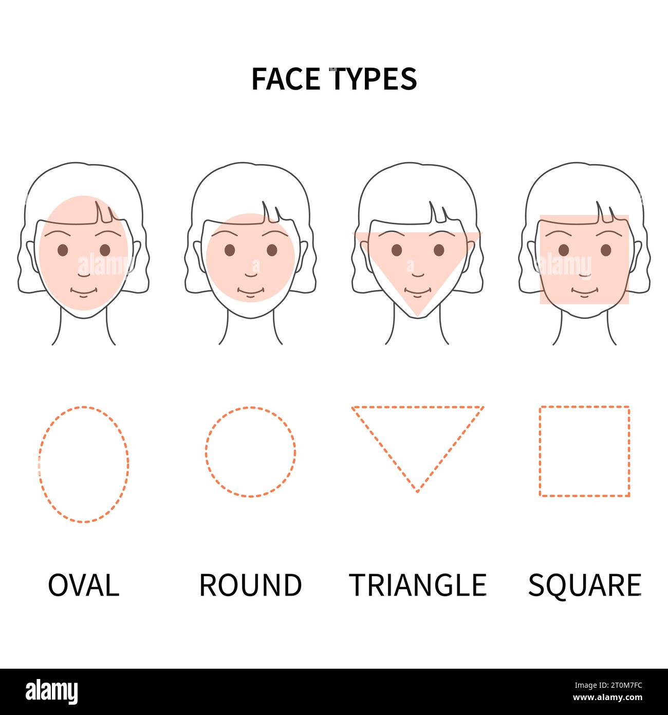 Female face shape types set line illustration Stock Vector Image & Art ...