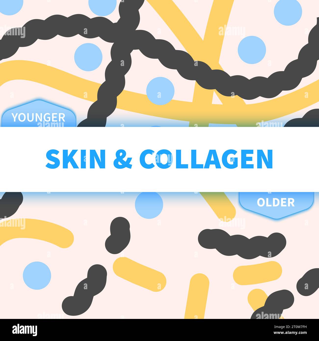 Collagen peptide protein molecule skin cell background Stock Vector ...