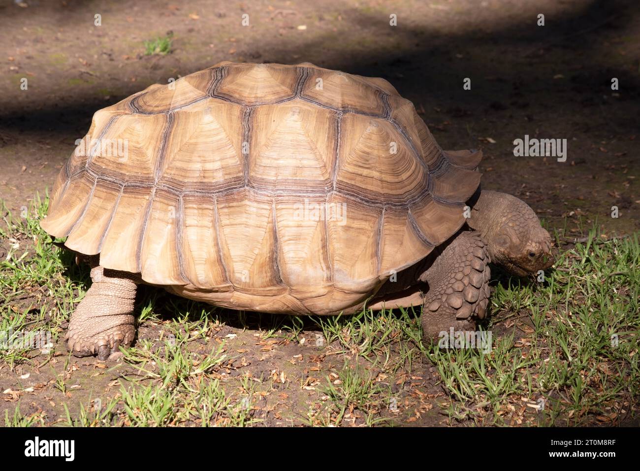 Worlds largest land hi-res stock photography and images - Alamy