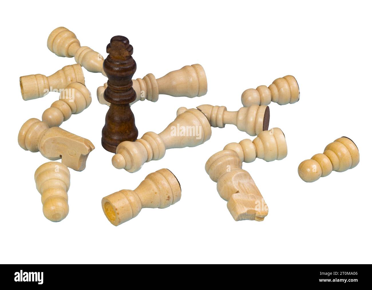 the winner king on the battlefield with the defeated pawns on the ...