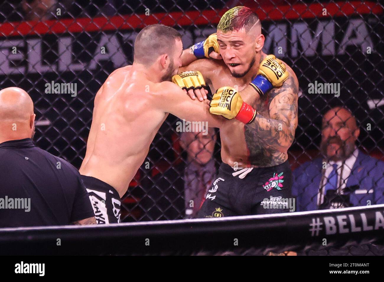 Mma grapple hi-res stock photography and images - Alamy