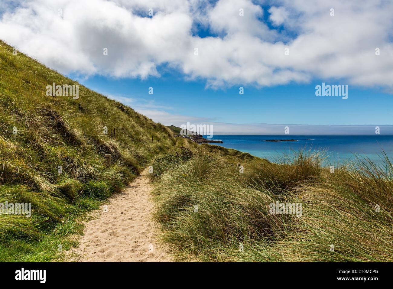 Looking along a sandy coastal path above Sennen on the Cornish coast ...