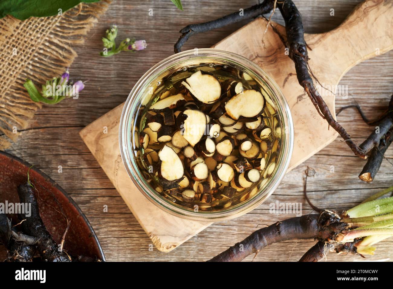 Making alcohol tincture from sliced fresh comfrey root, top view Stock ...