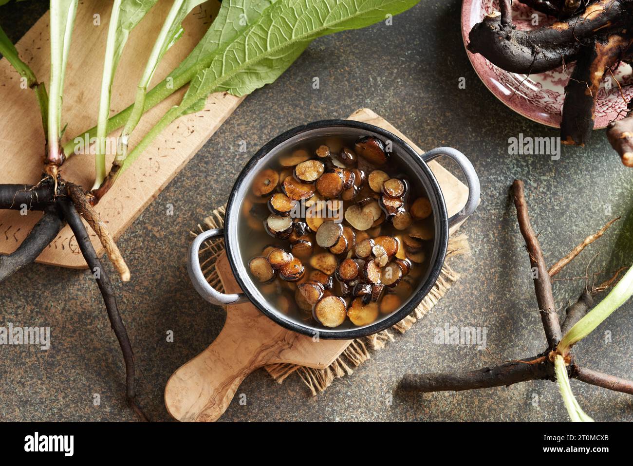 Preparation of Symphytum ointment for bones and joints from fresh ...