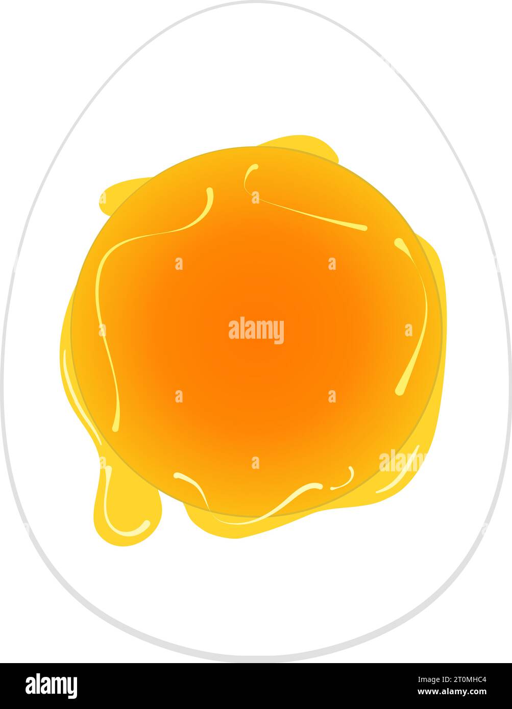 graphic illustrated Boil egg soft runny yolk wet breakfast clipart gradient illustration vector ...