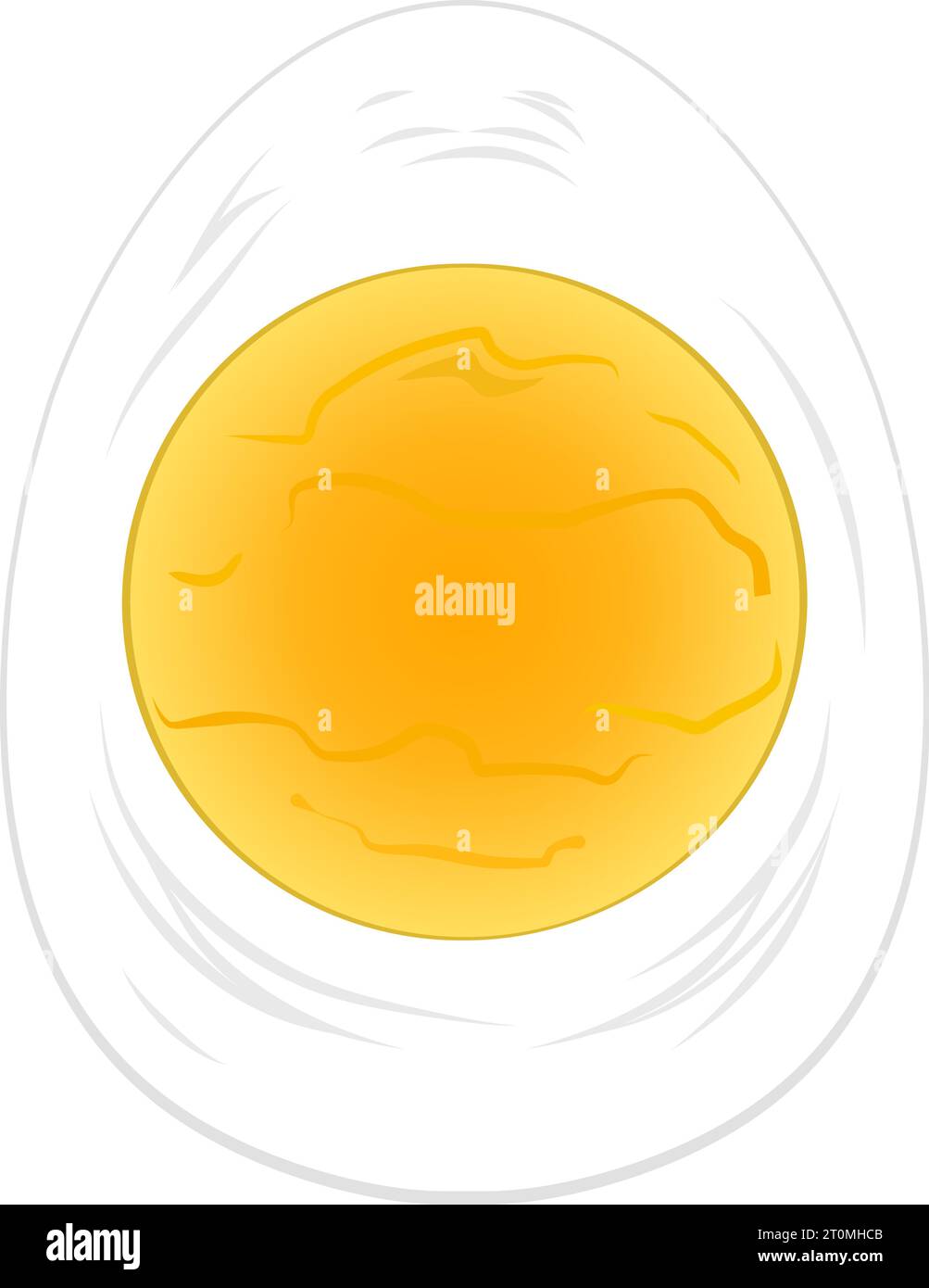 graphic illustrated Boil egg hard fully cooked yolk breakfast clipart gradient design Stock ...